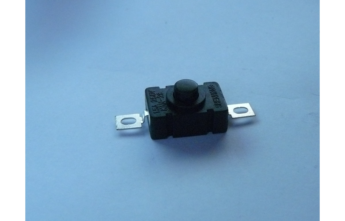 Locking Push Toggle Switch Button (eg torch type switch) - Buy ...